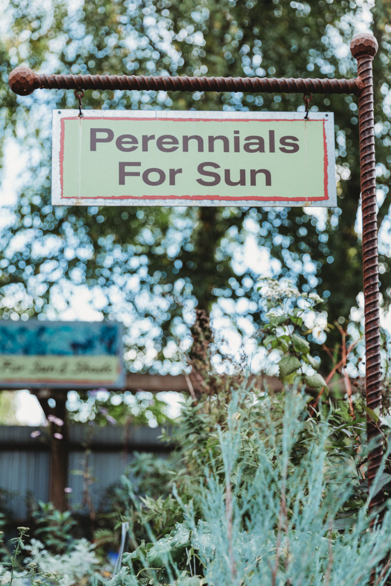 Flowering Perennials - Garden Fever! Plant Nursery - Portland, Oregon